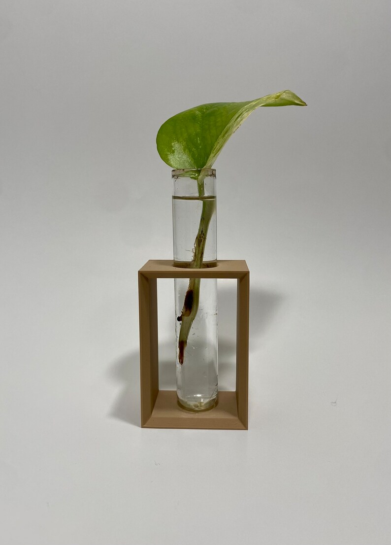 Modern Propagation Station | Test Tube Plant Holder for Countertops ...