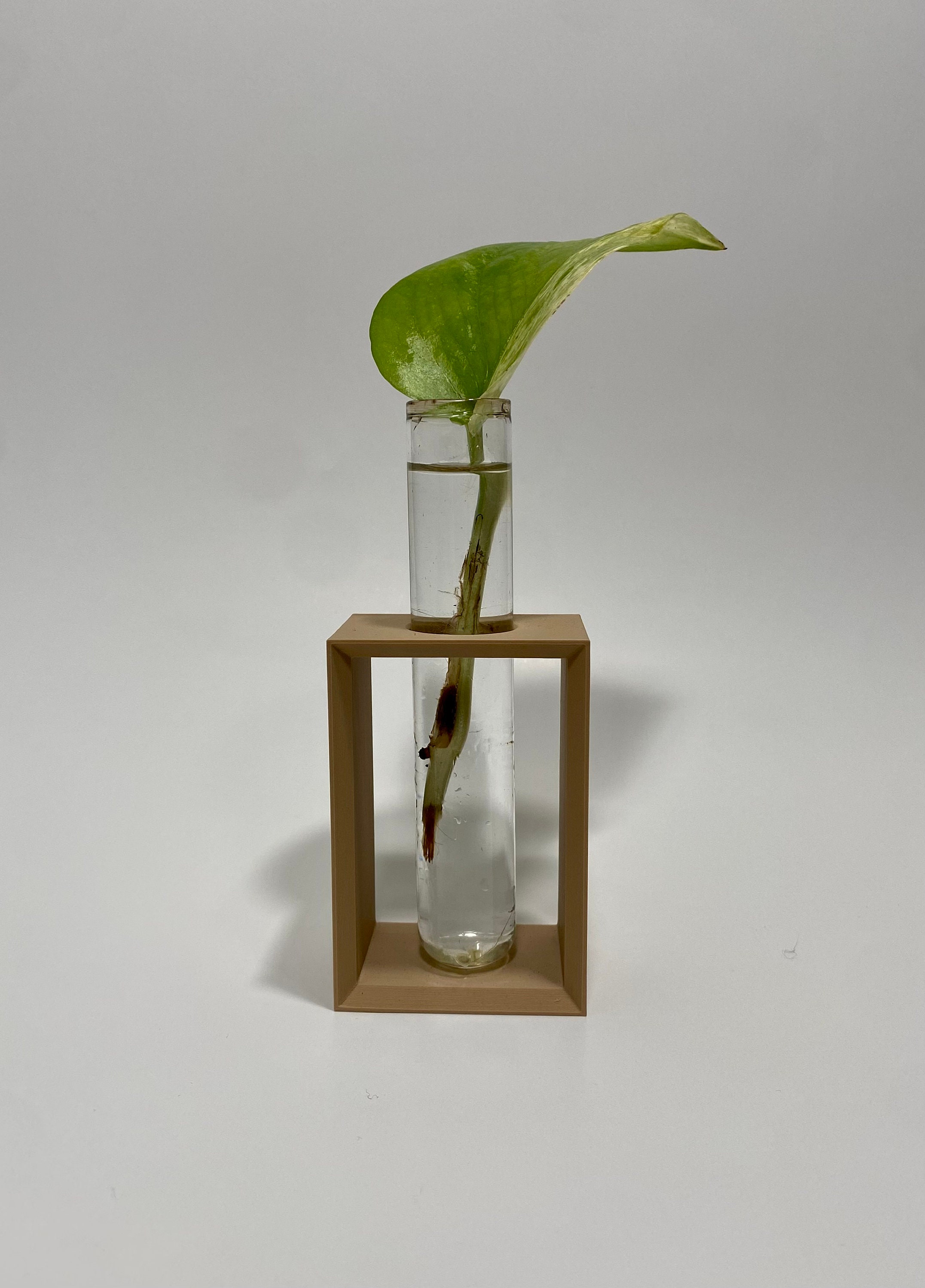 Modern Propagation Station | Test Tube Plant Holder for Countertops ...