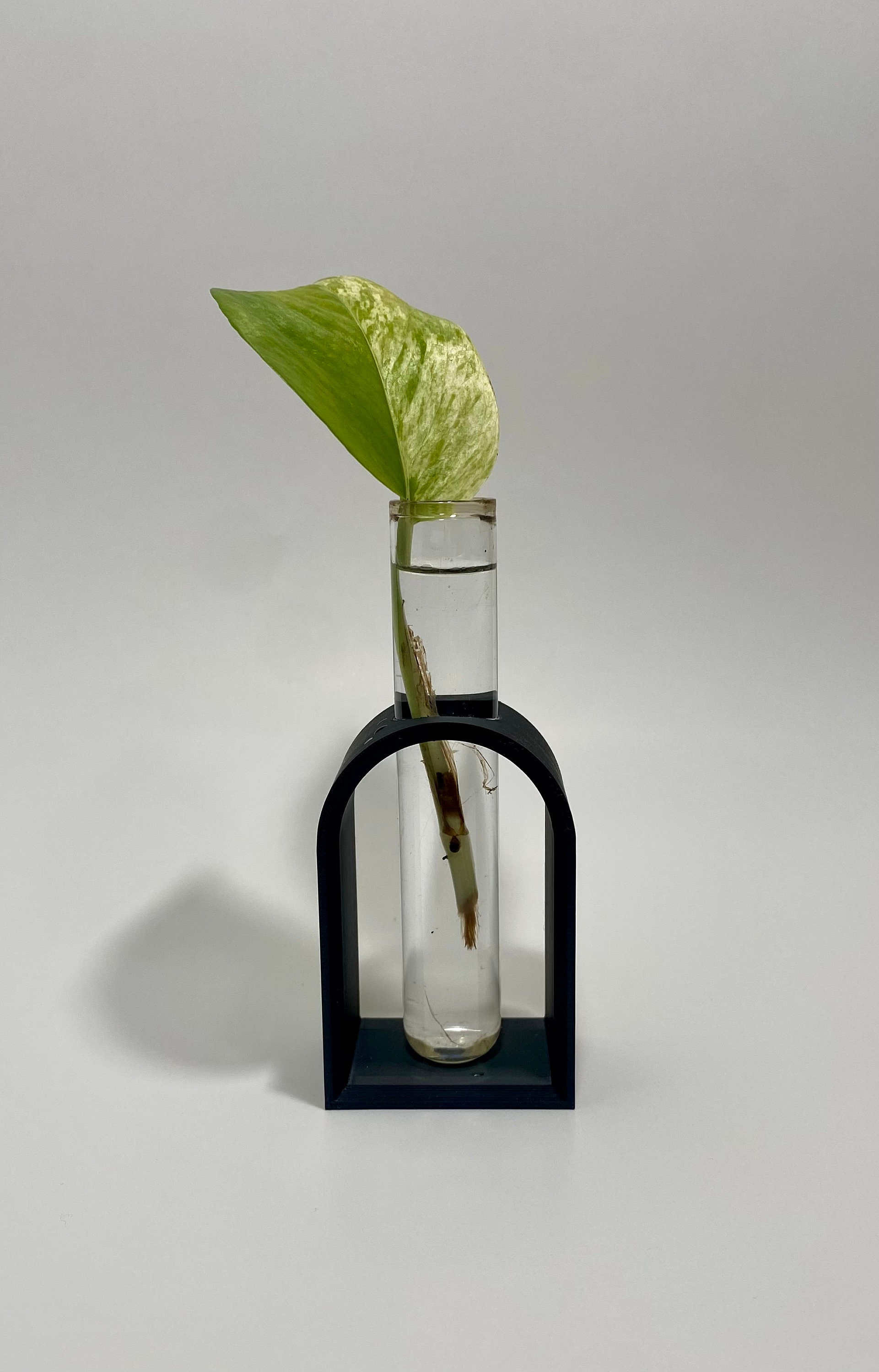 Modern Propagation Station | Test Tube Plant Holder for Countertops ...