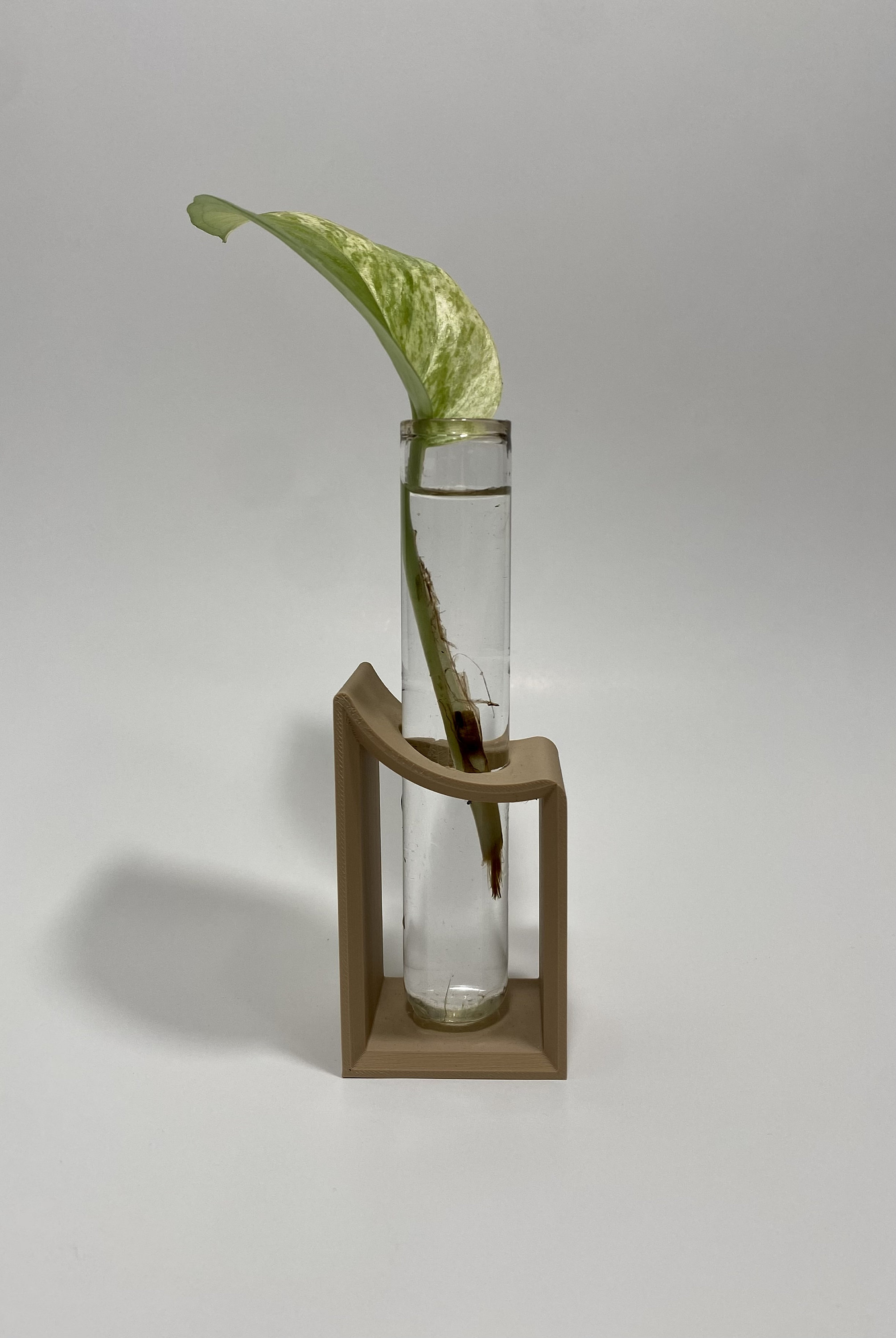 Modern Propagation Station | Test Tube Plant Holder for Countertops ...