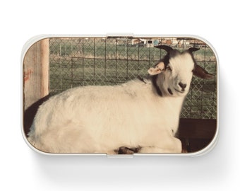 Bento Lunch Box - Etsy