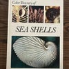 The Collector’s Encyclopedia of Shells Book, by S. Peter Dance, Lover ...