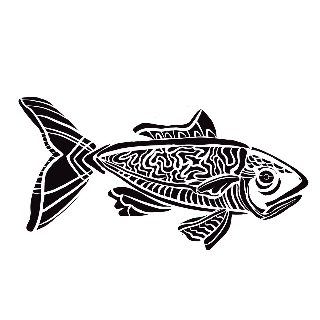 Fish Reusable Stencil Template - Etsy