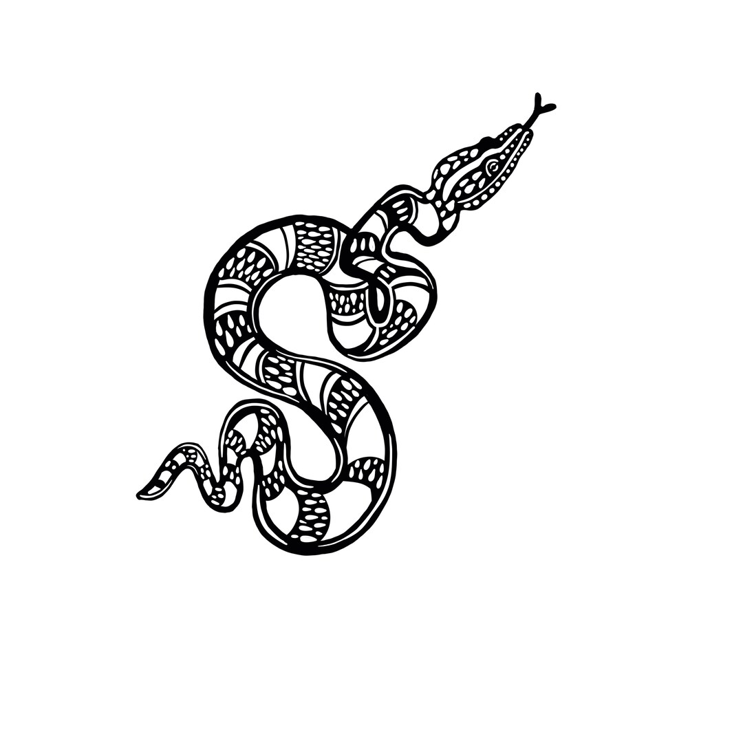 Snake Patterned Reusable Stencil - Etsy