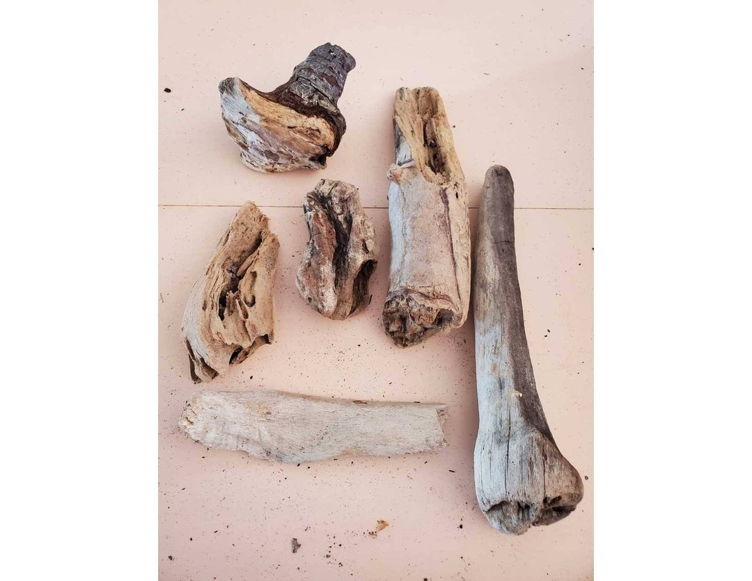 California Beach Driftwood, Central Coast, San Luis Obispo, San Simeon ...