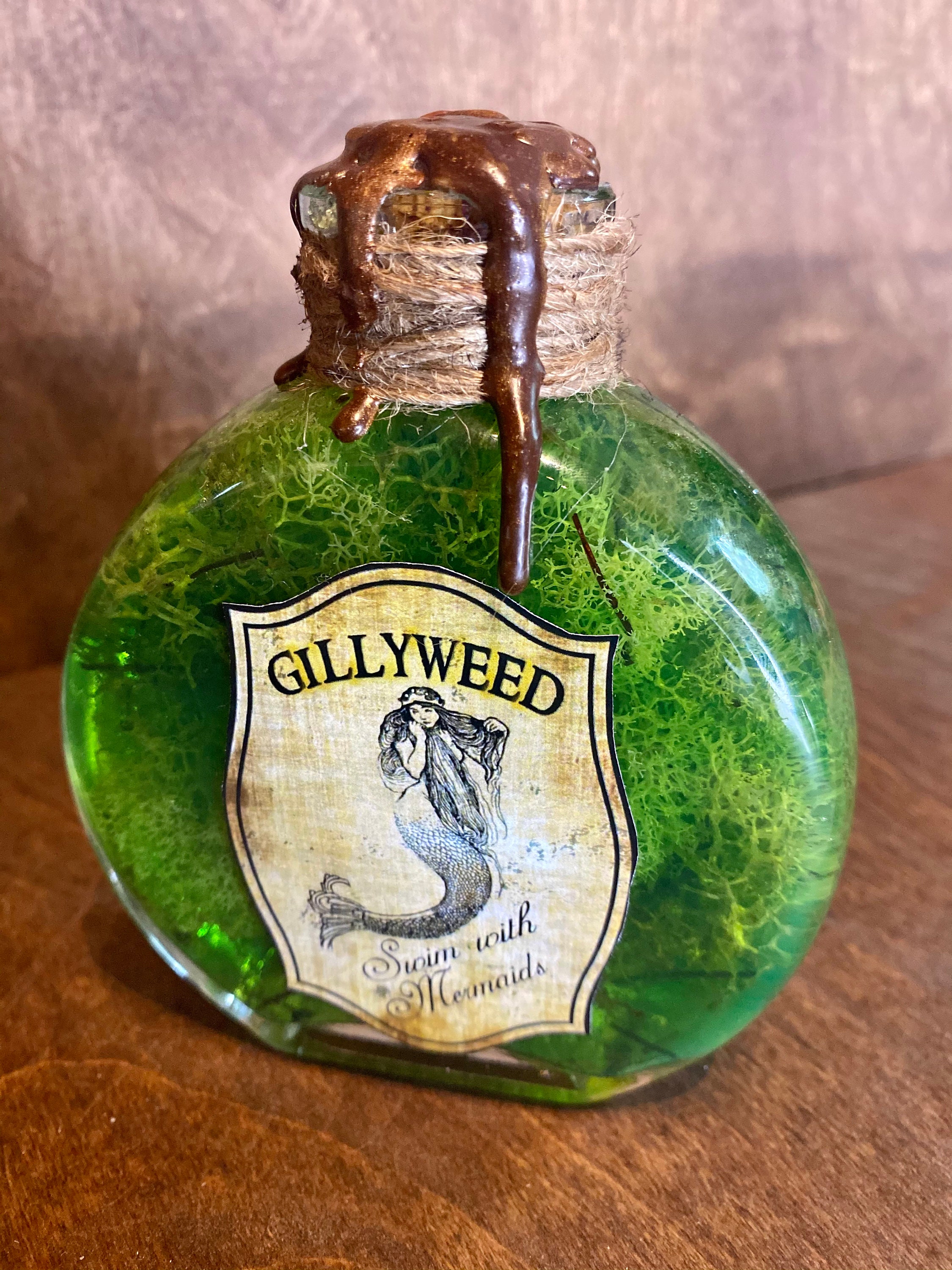 Gillyweed Harry Potter Potion HP potion | Etsy