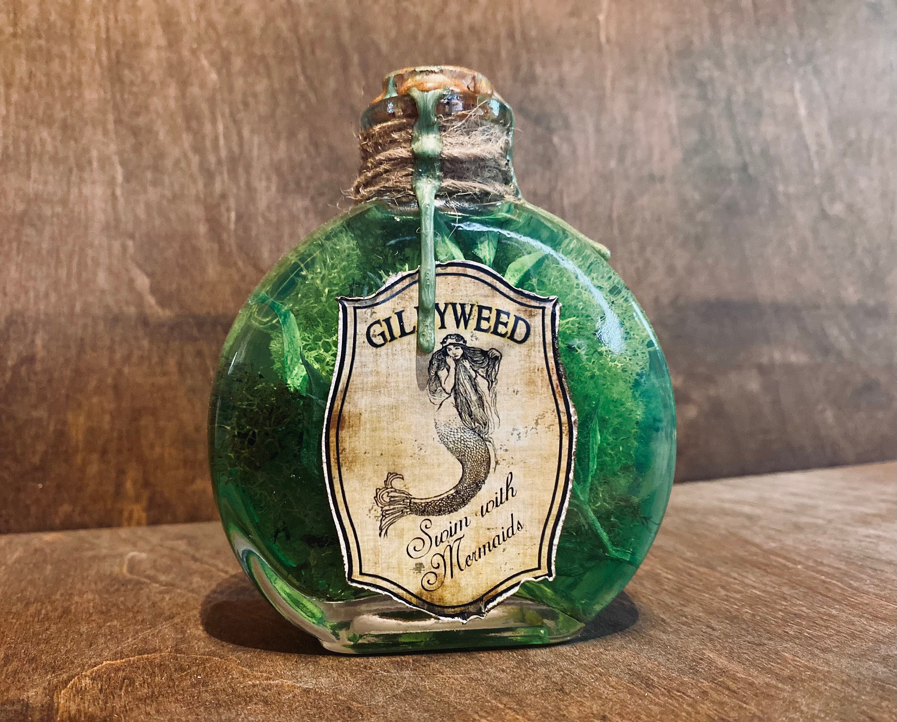 Gillyweed Harry Potter Potion HP potion | Etsy