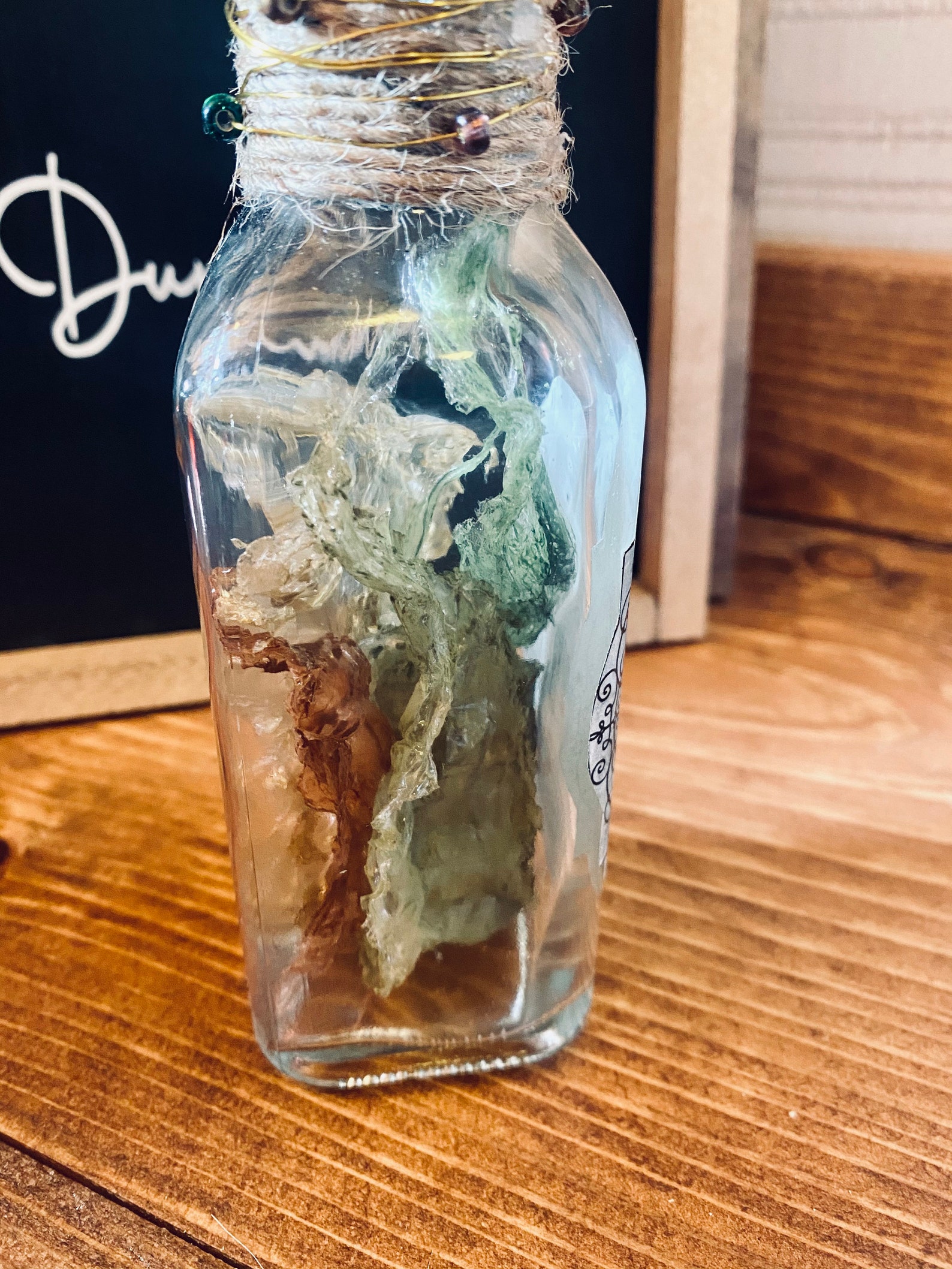 Boomslang Skin Harry Potter Potion Harry Potter Decor | Etsy