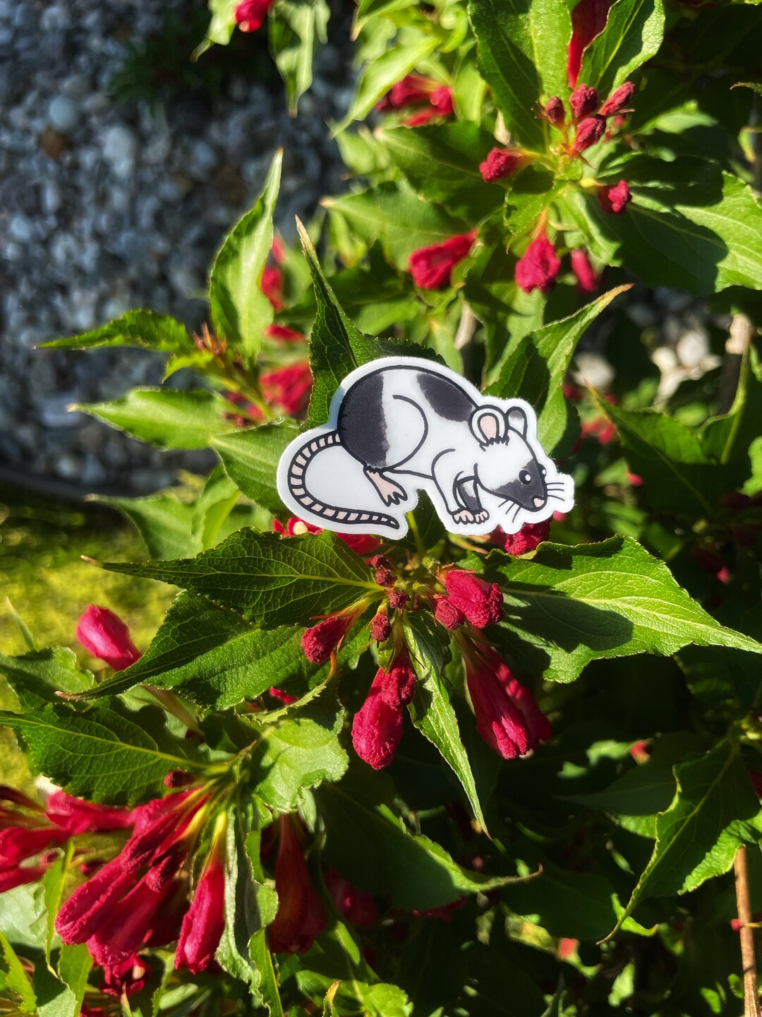 Black and White Mouse Sticker Rodent Vinyl - Etsy