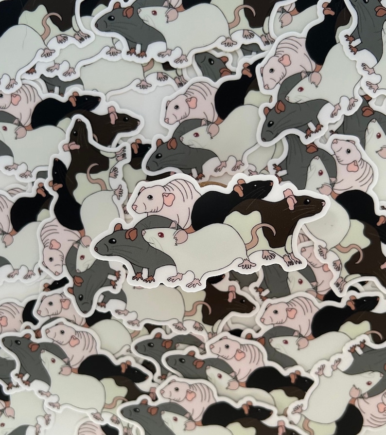 Rat Pack Vinyl Sticker – Hairless, Hooded, Albino, Dumbo Rats - Etsy