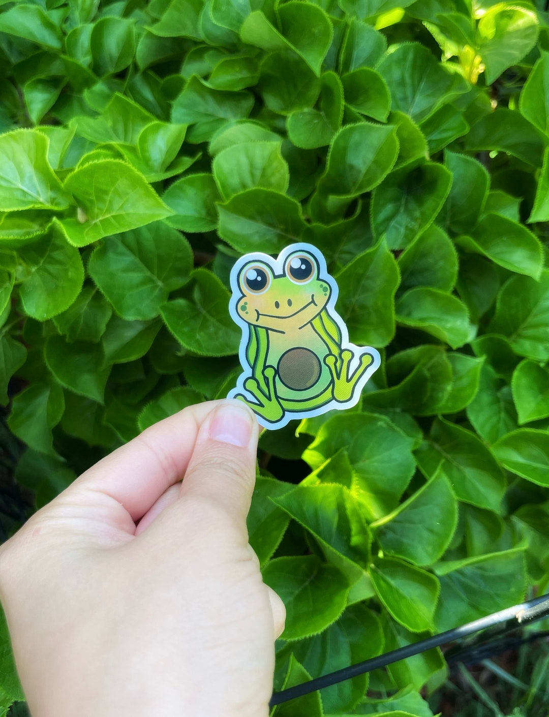 Avocado Frog Sticker Holographic Vinyl - Etsy