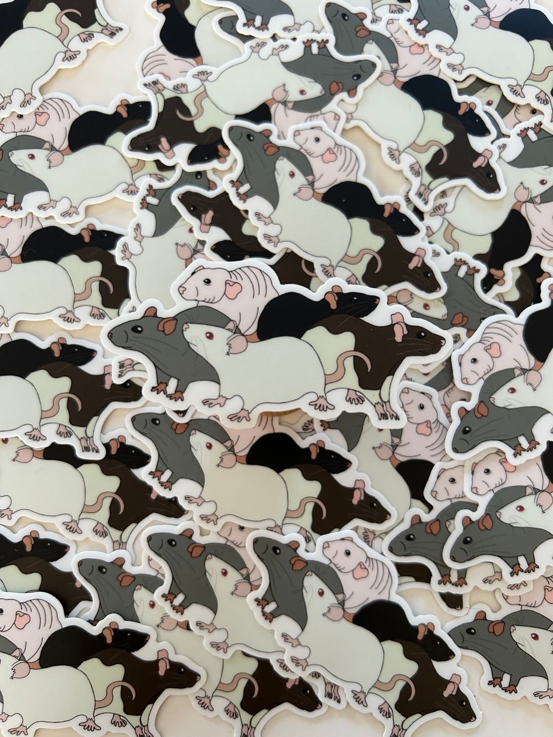 Rat Pack Vinyl Sticker – Hairless, Hooded, Albino, Dumbo Rats - Etsy