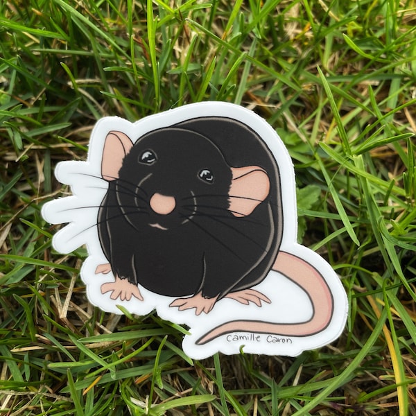 Rat Sticker - Etsy