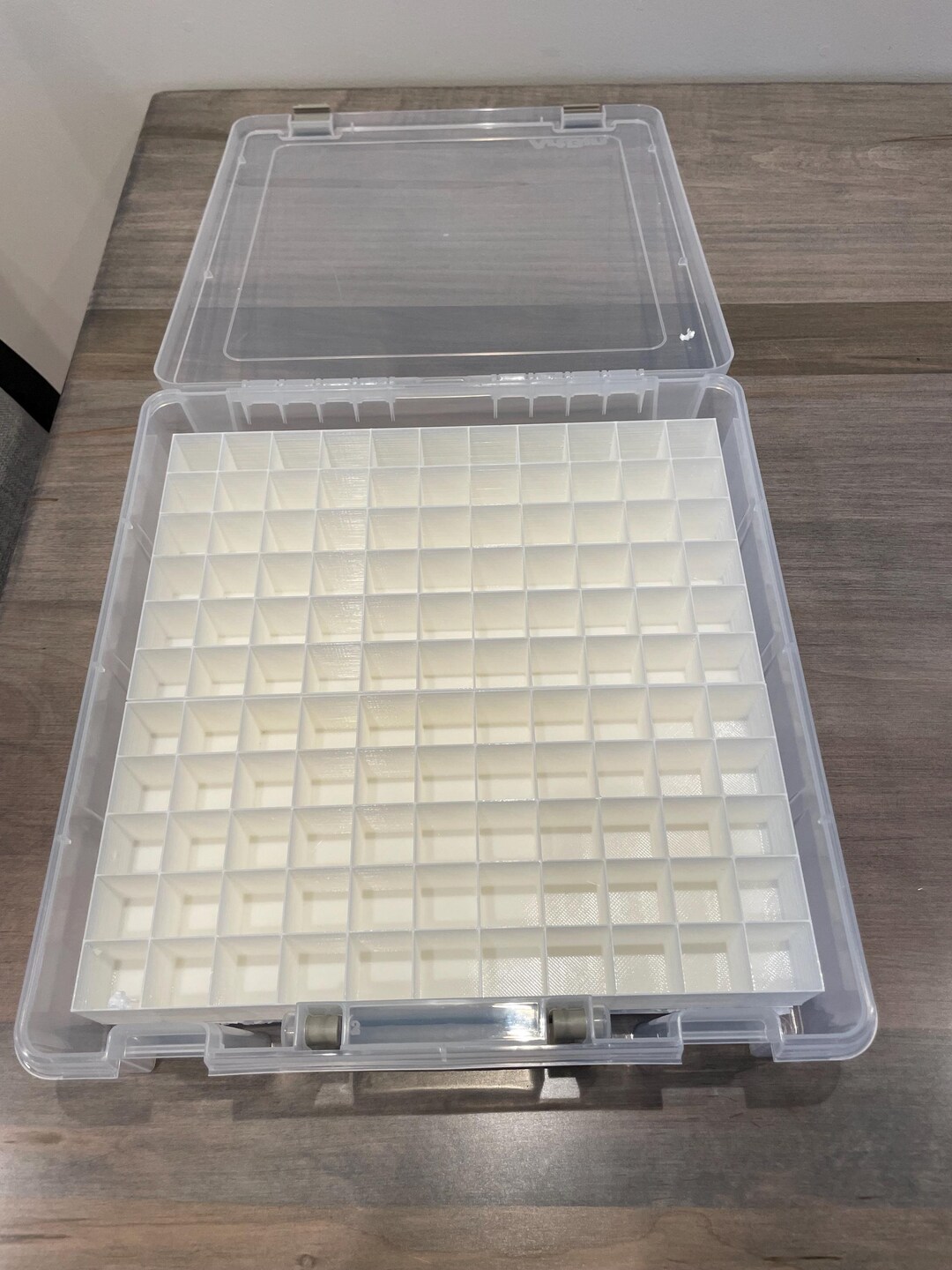 Homeopathic Storage Organizer Storage Bin With Organizer Insert to ...