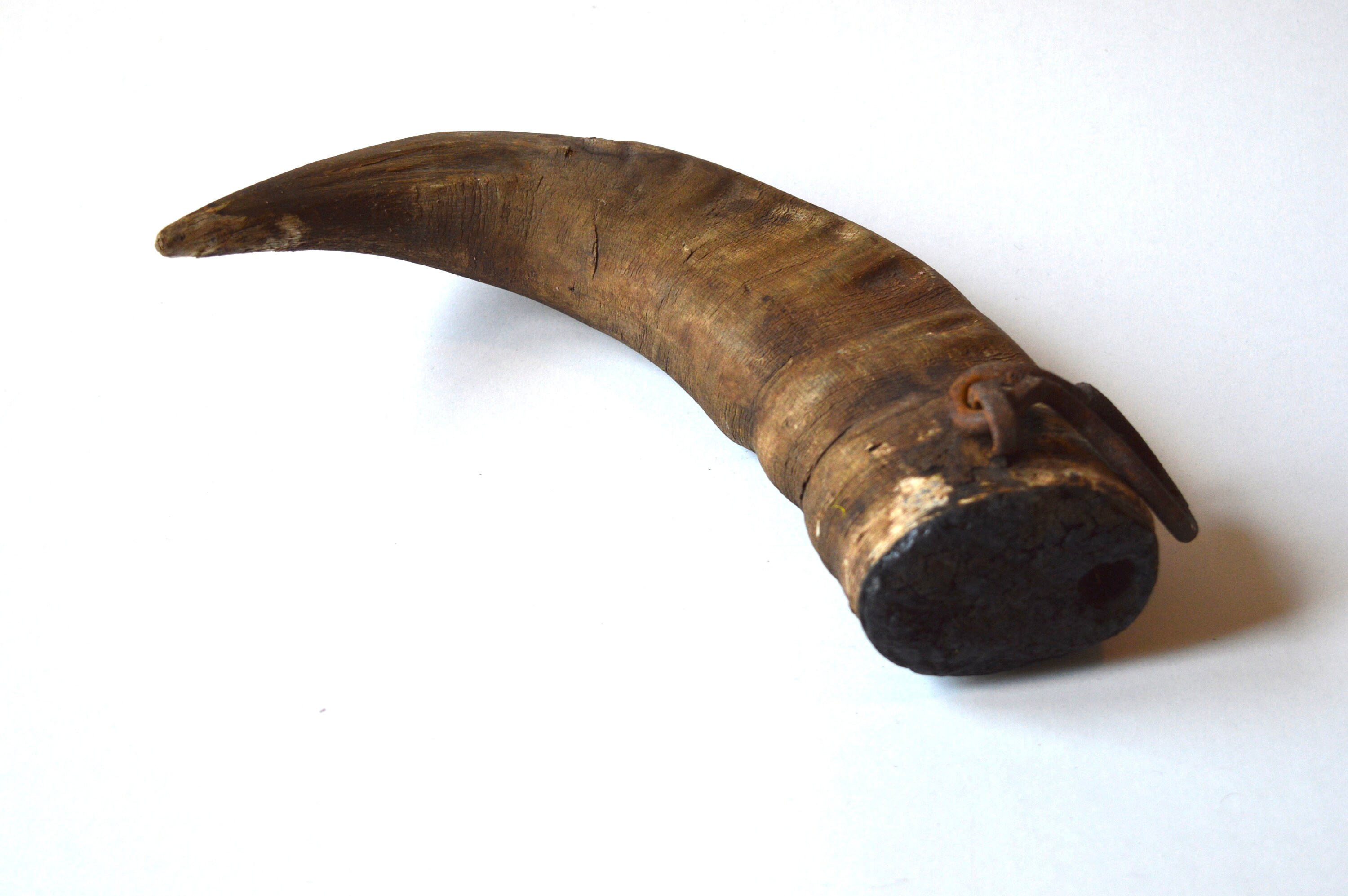 Αntique Extra Large 1800's Hand Made Bull Horn Gun Powder Flask With ...