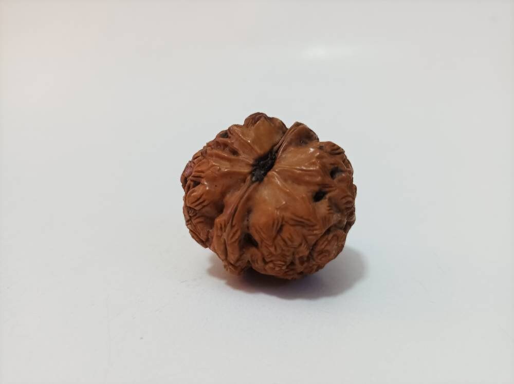 Antique Hand Carved Hediao Nut / Chinese / Tiger / Arhats - Etsy