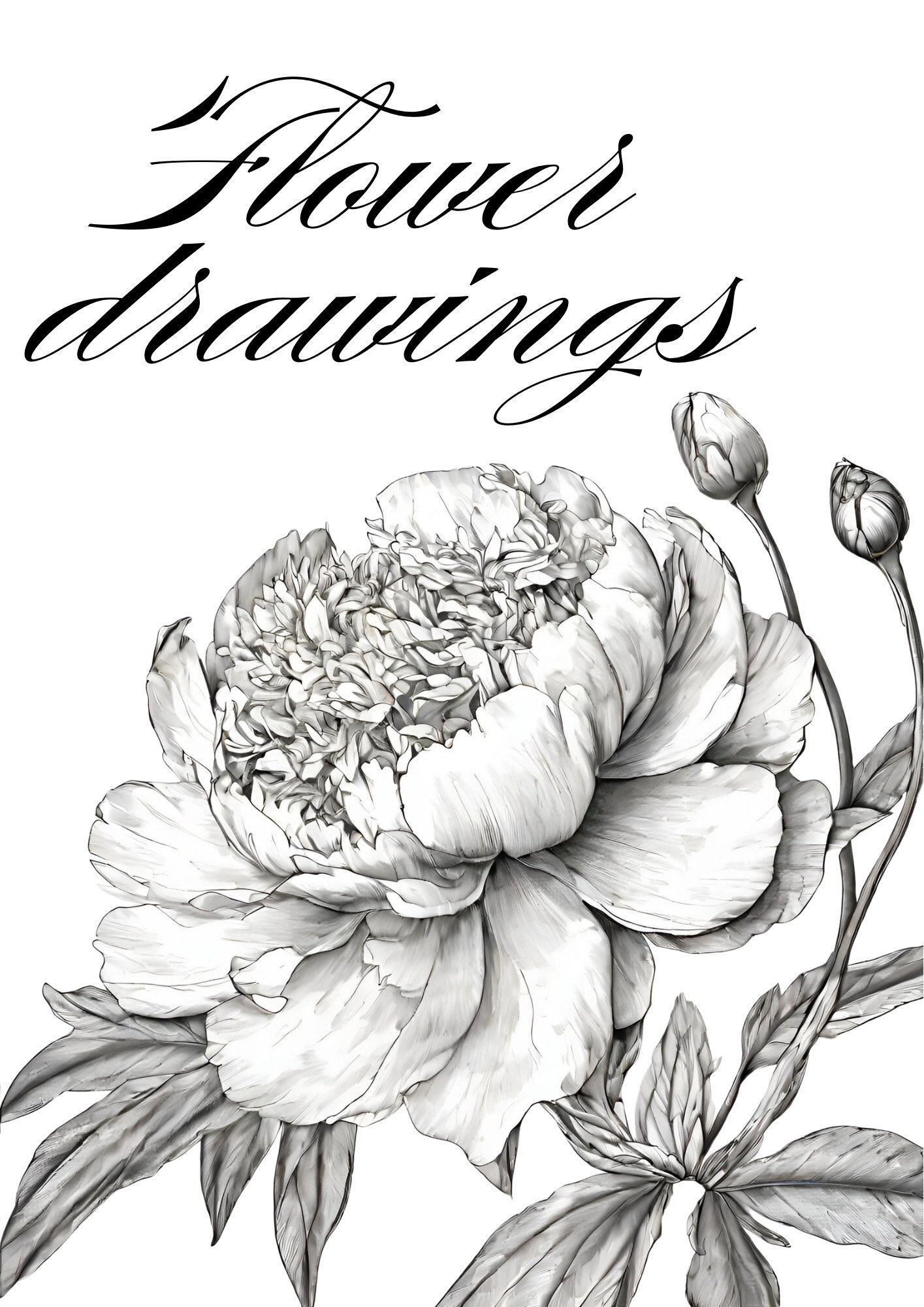 Printable Flower Drawings - Etsy