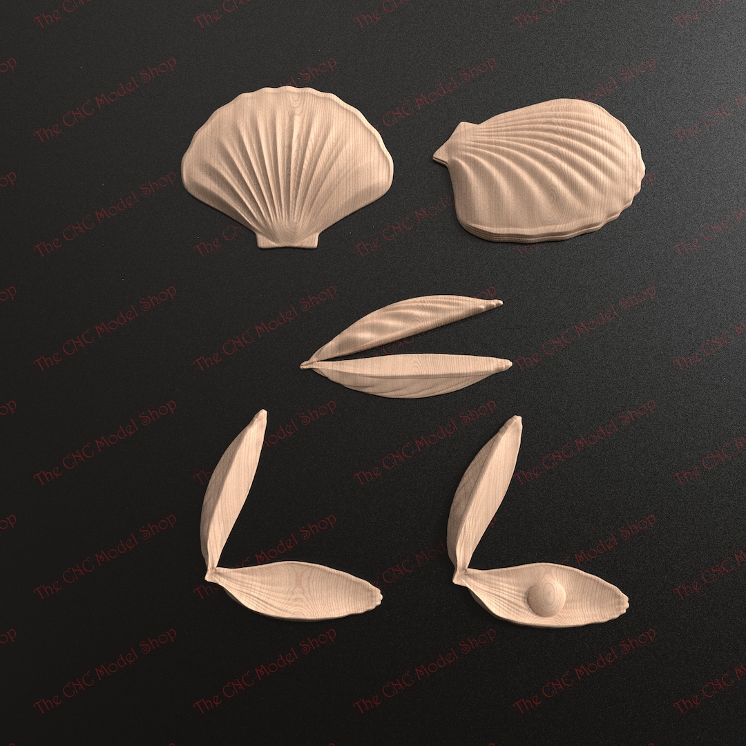 5 Pcs, 3D Relief STL Files of Clam Shell - Etsy