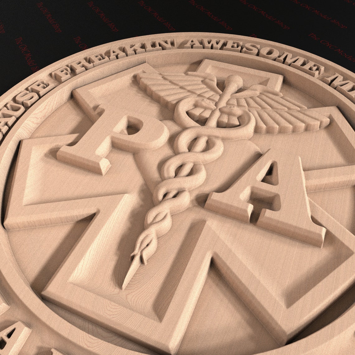 PA (physician's Assistant) Sign, ...awesome Miracle Worker... 3d .stl ...