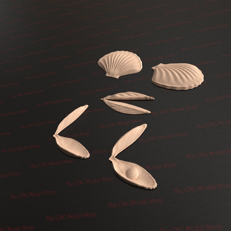 5 Pcs 3D Relief STL Files of Clam Shell | Etsy