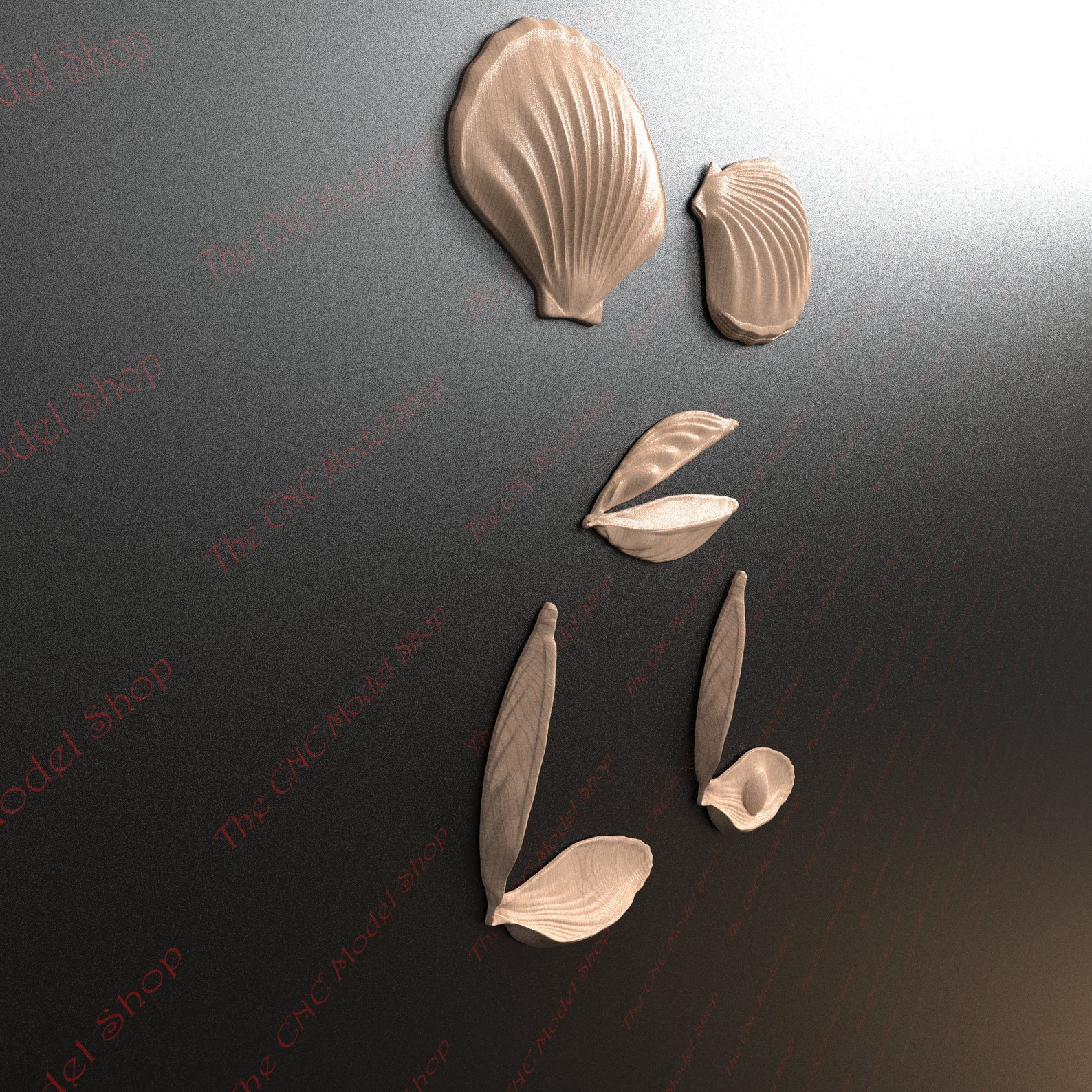 5 Pcs, 3D Relief STL Files of Clam Shell - Etsy