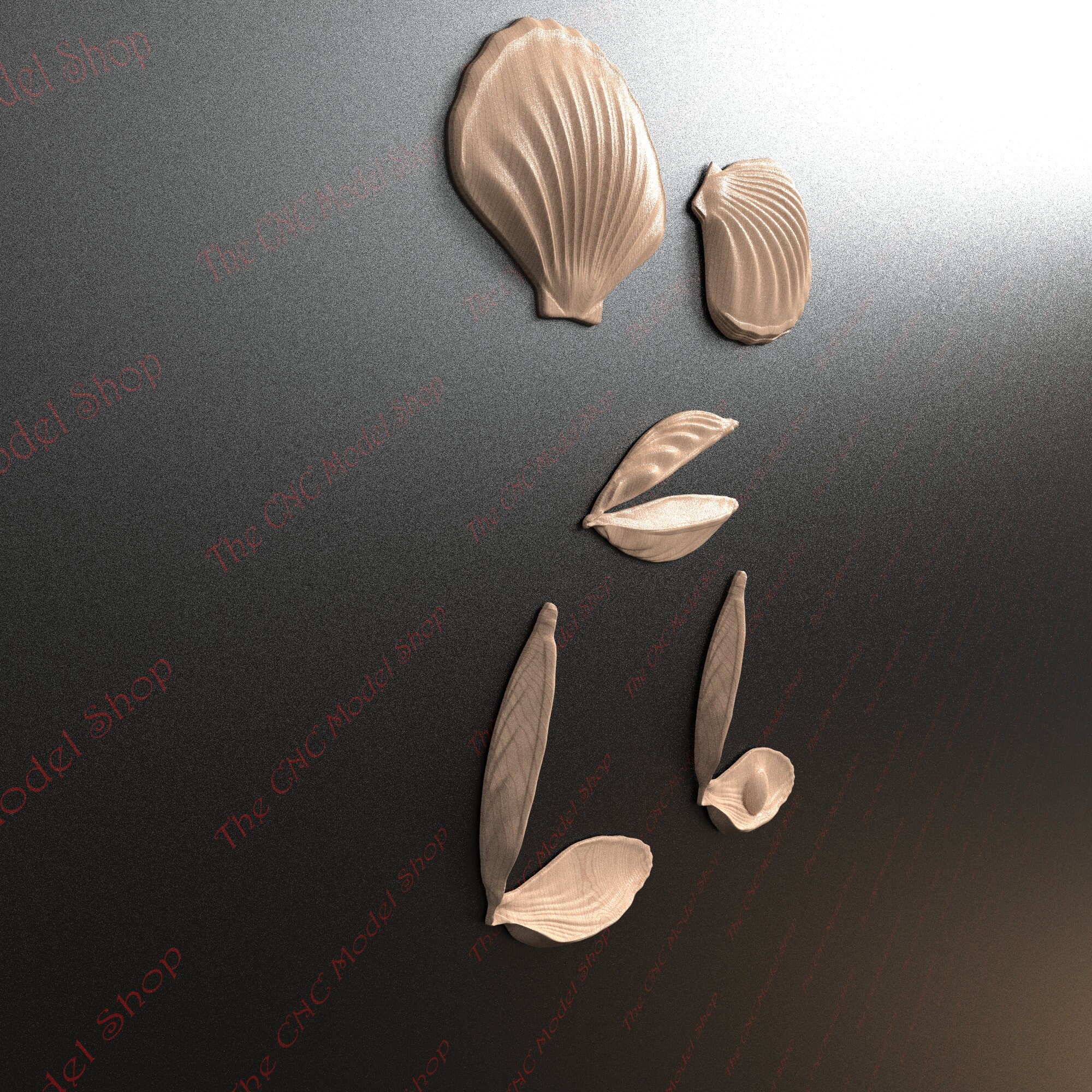 5 Pcs 3D Relief STL Files of Clam Shell - Etsy