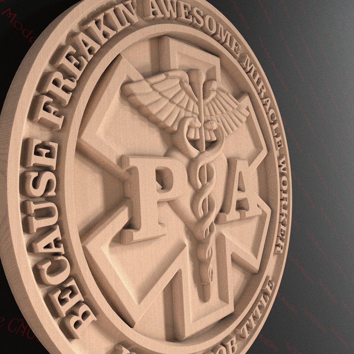 PA (physician's Assistant) Sign, ...awesome Miracle Worker... 3d .stl ...