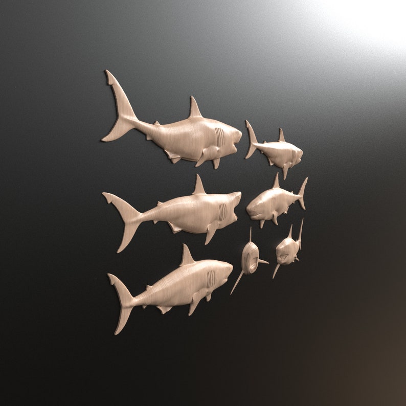 16 Pcs 3D Relief STL Files of Great White Shark for CNC - Etsy