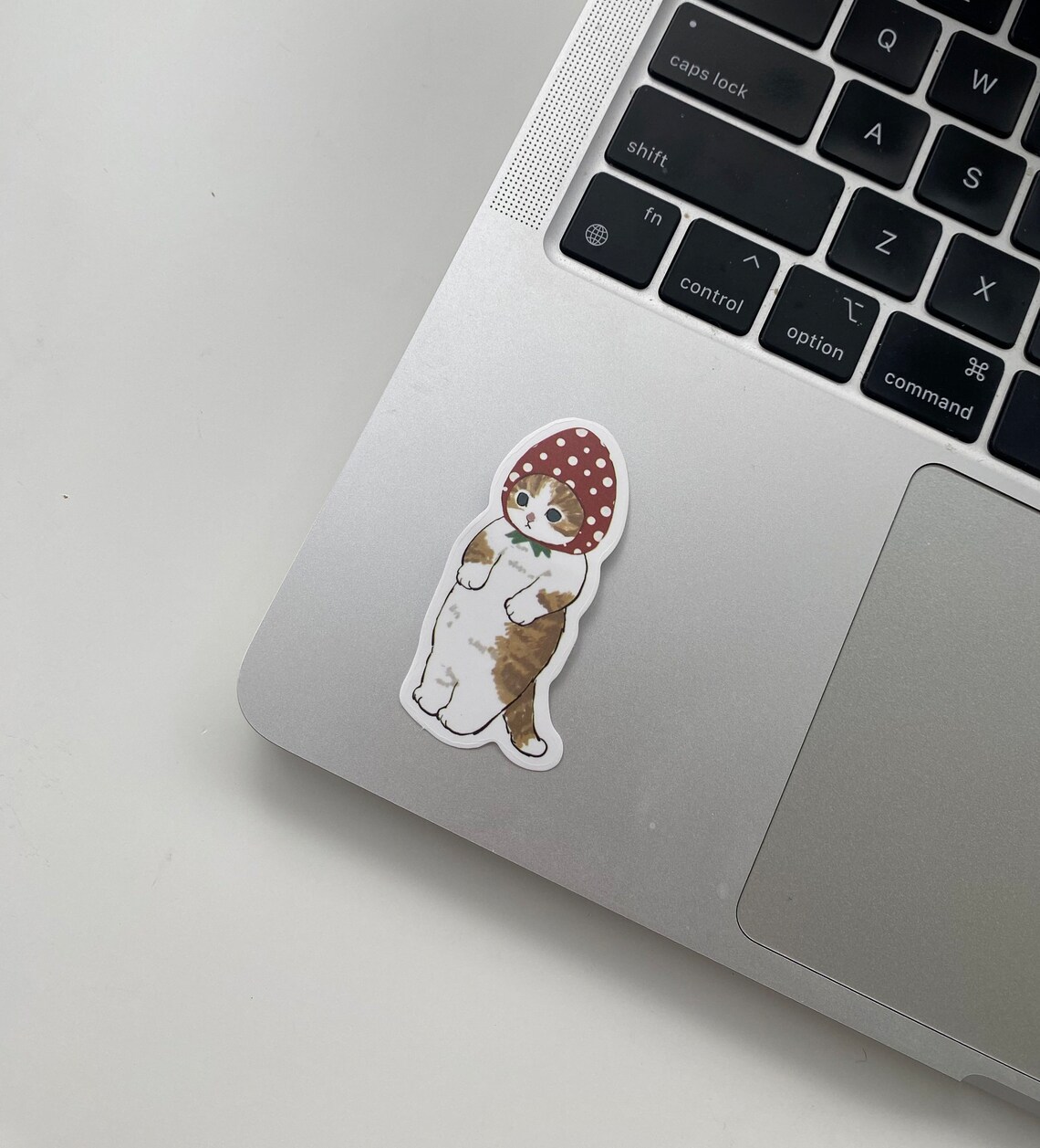 10pcs Random Mofusand Inspired Watercolor Cat Vinyl Stickers - Etsy