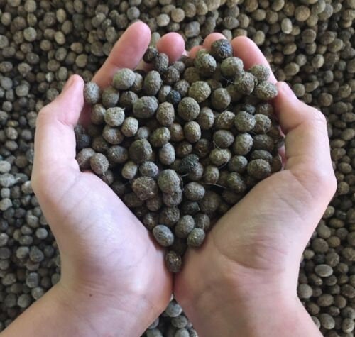 Rabbit Manure - Natural, Organic Fertilizer - 10 Pounds of Bunny Honey ...