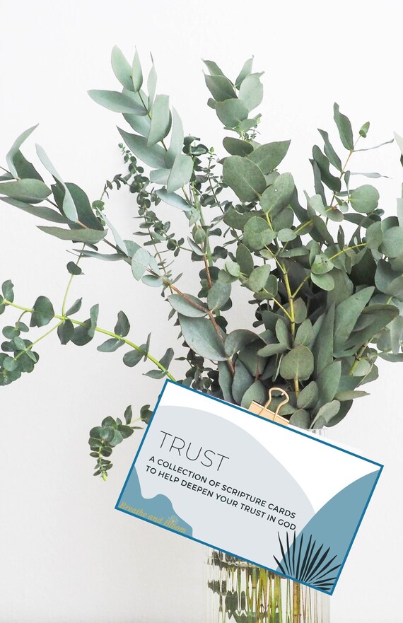 Scripture Card Set Calm Aesthetic Bible Verse Memory Cards | Etsy