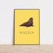 Walrus on a Wall Wall Art Walrus Pun Printable Art Eclectic Print - Etsy