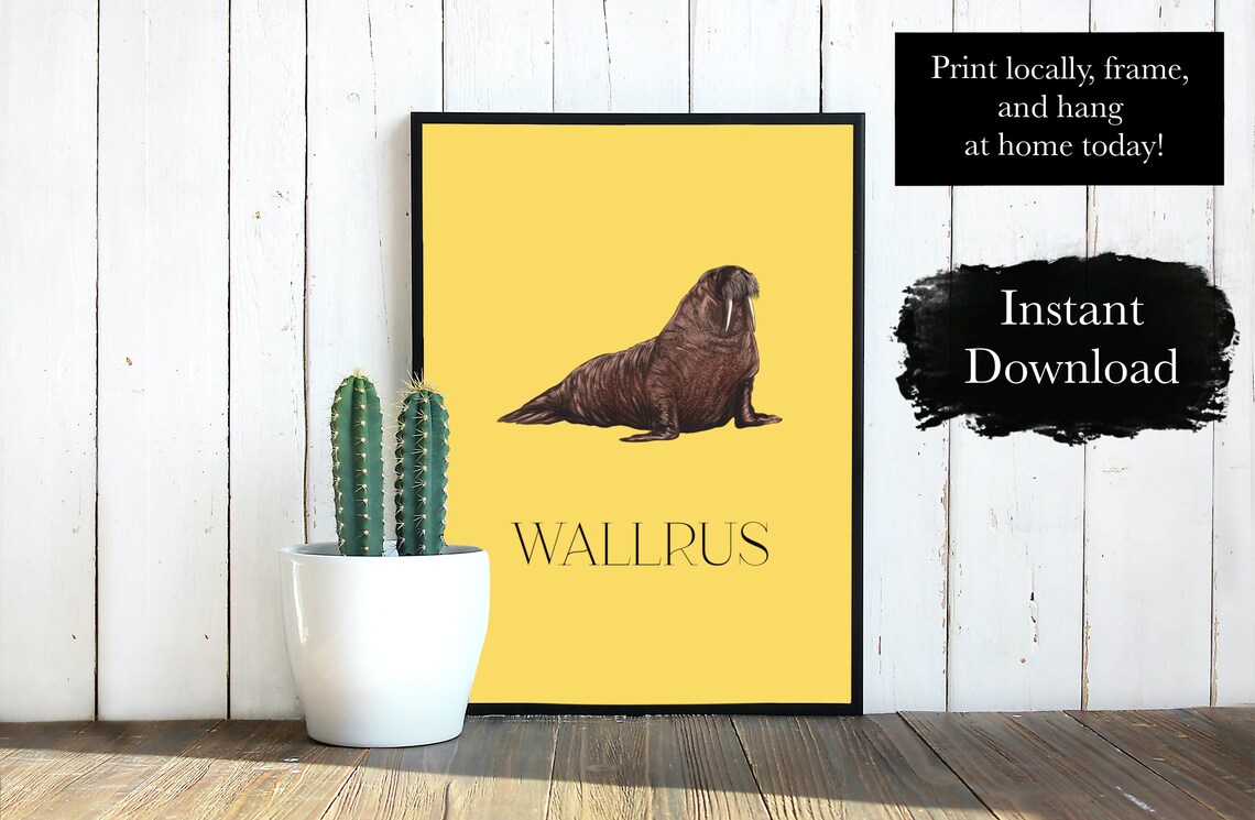 Walrus on a Wall Wall Art Walrus Pun Printable Art Eclectic Print - Etsy