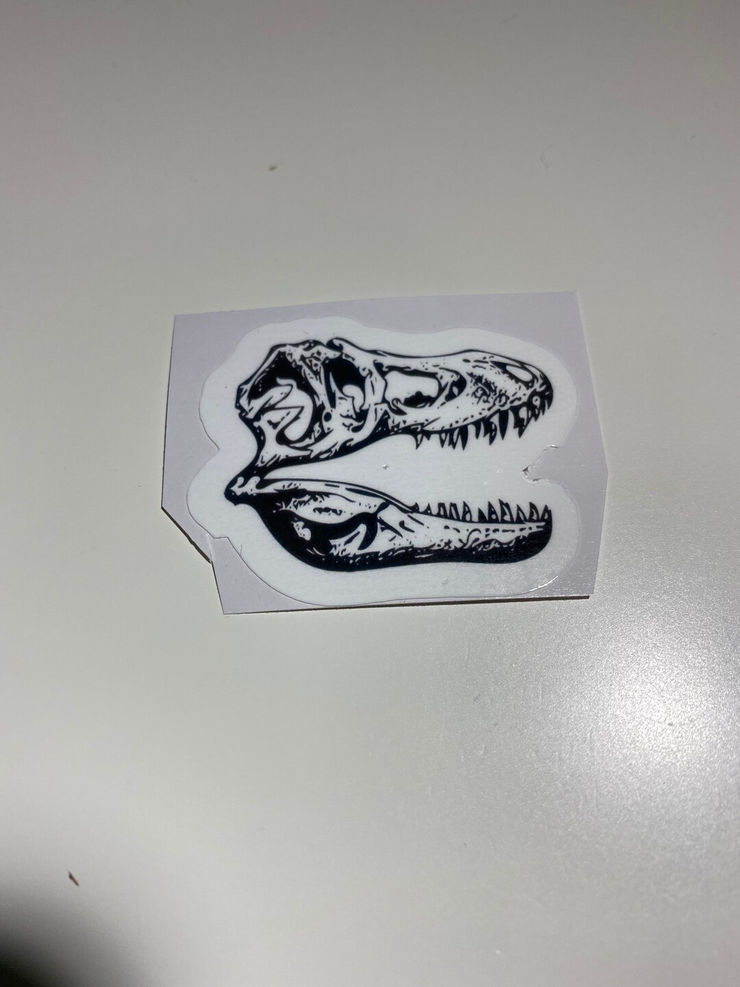 T-rex Skeleton Head Sticker. Vinyl, Waterproof,removable Great for ...