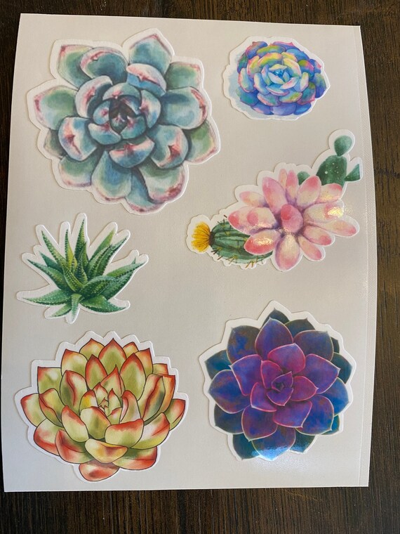 Stickers Paper Succulent sticker sheet Stickers, Labels & Tags etna.com.pe
