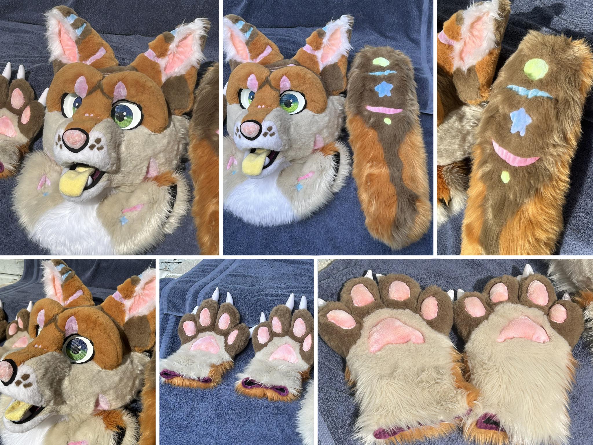 Coyote Fursuit Mini Partial Color Changing Fursuit See Description - Etsy