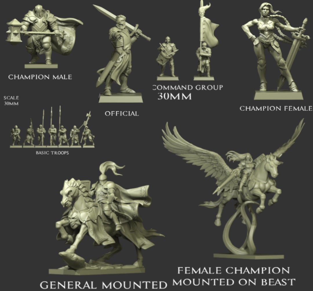 Yedharo - Knightly Order - 30mm Scale for Dnd, Roleplaying, Table Top ...