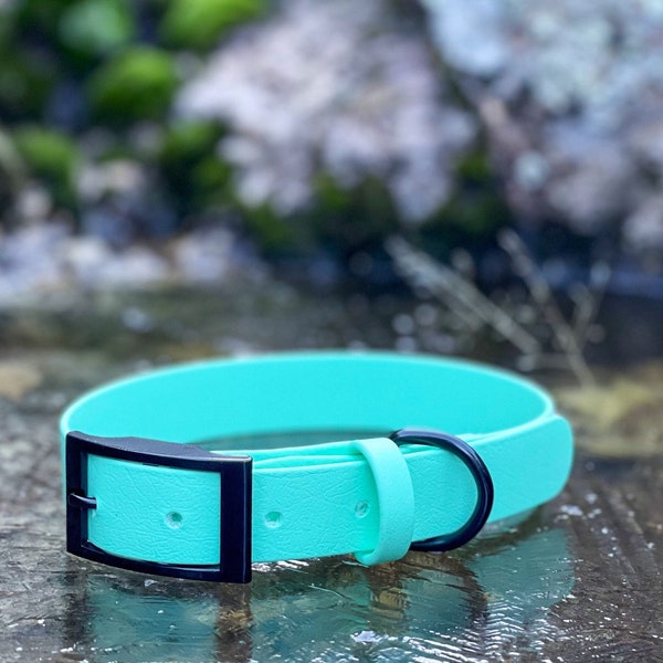 Turquoise Dog Collar - Etsy