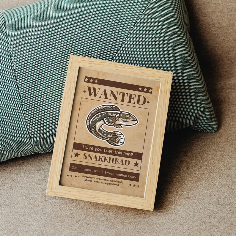 5"x7" Art Print Snakehead Wanted Poster - Maryland Invasive | Great for ...