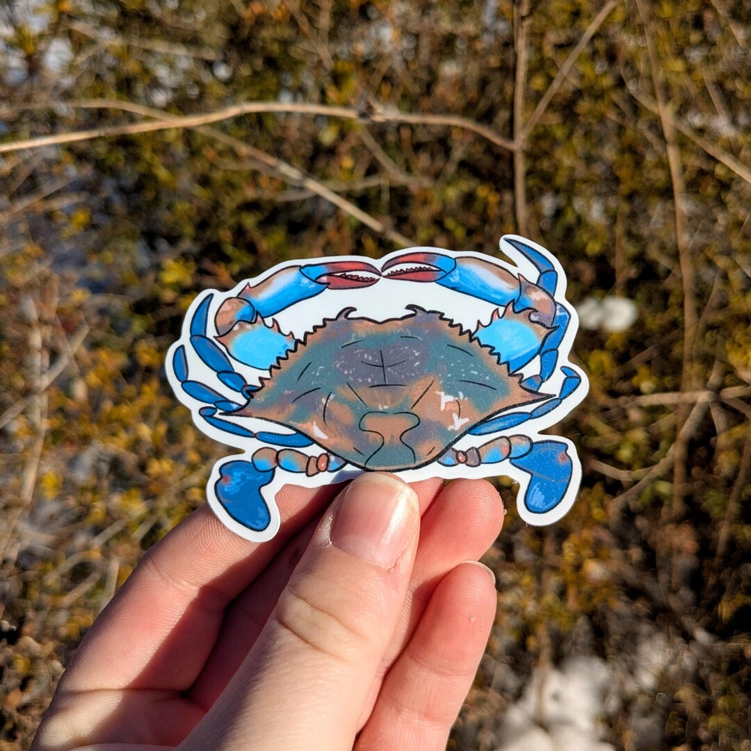Blue Crab Vinyl Sticker - Chesapeake Bay | Glossy Water Resistant ...