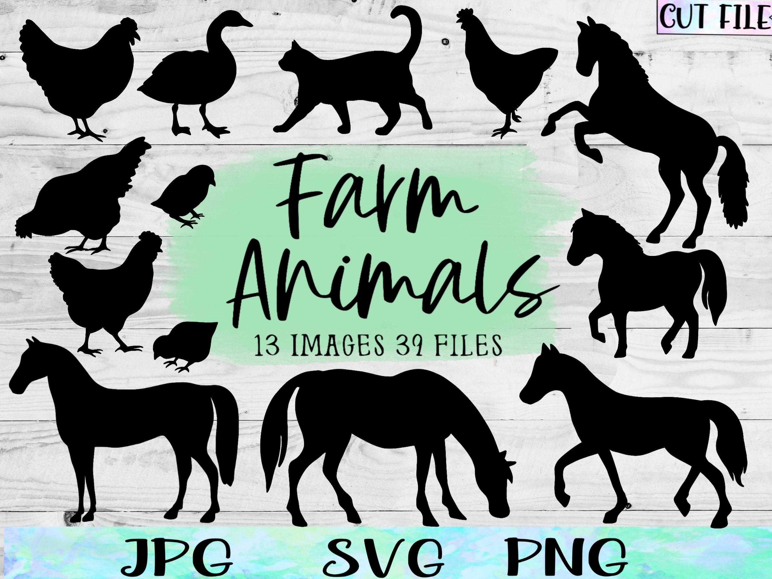 Barn Animals SVG Hen Svg Chicken Svg Chick PNG Baby Horse - Etsy