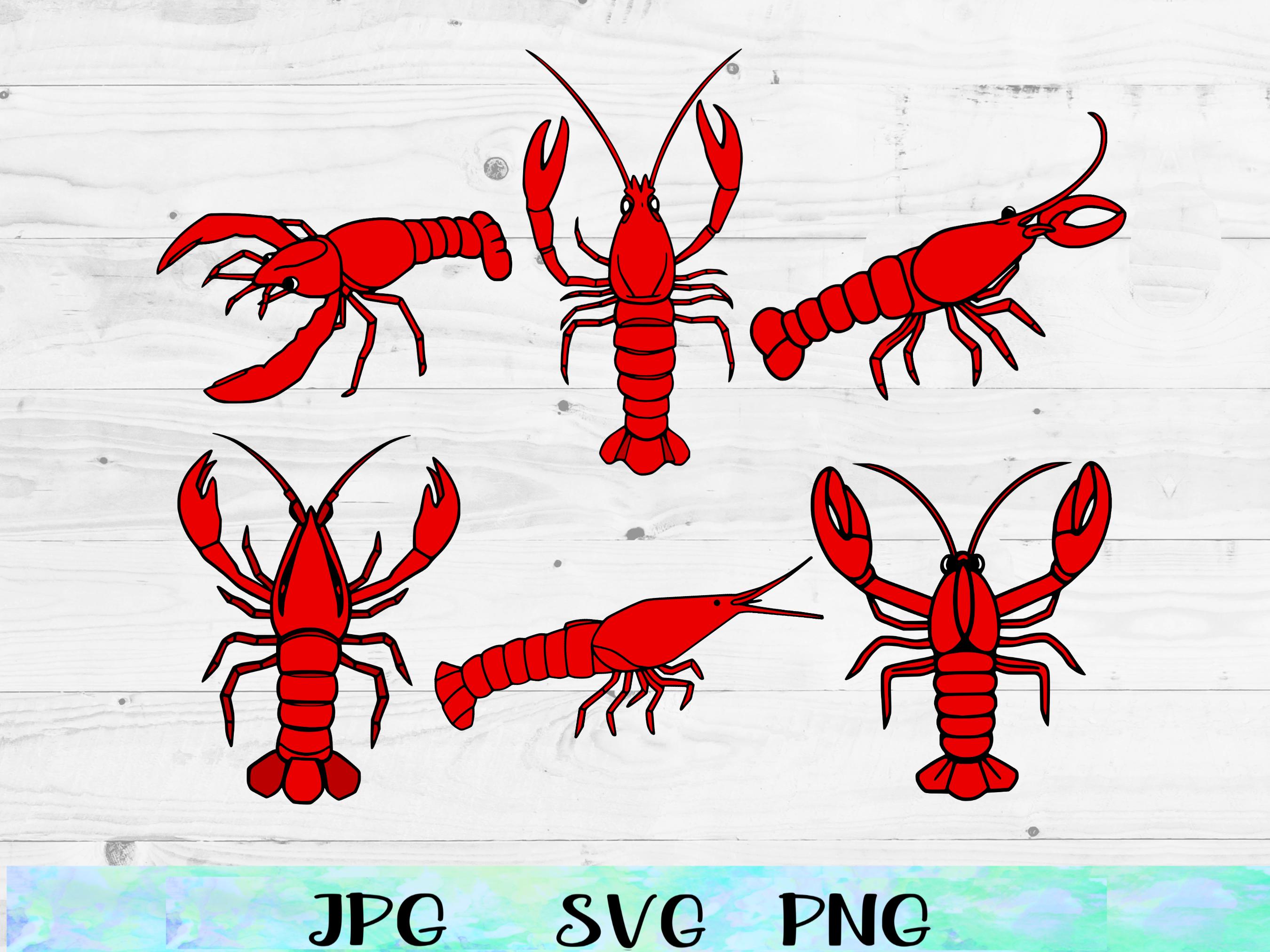 Crawfish JPG File, Crawfish SVG File, Crawfish PNG File, Crawfish Shirt ...