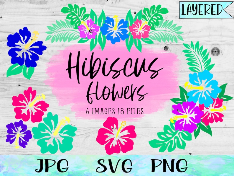 Hibiscus SVG Hibiscus Frame Svg Hawaiian Shirt Svg Floral - Etsy