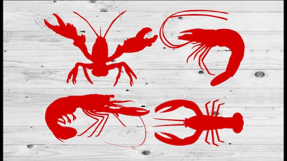 Crawfish Svg File Crawfish Png File Crawfish JPG File - Etsy