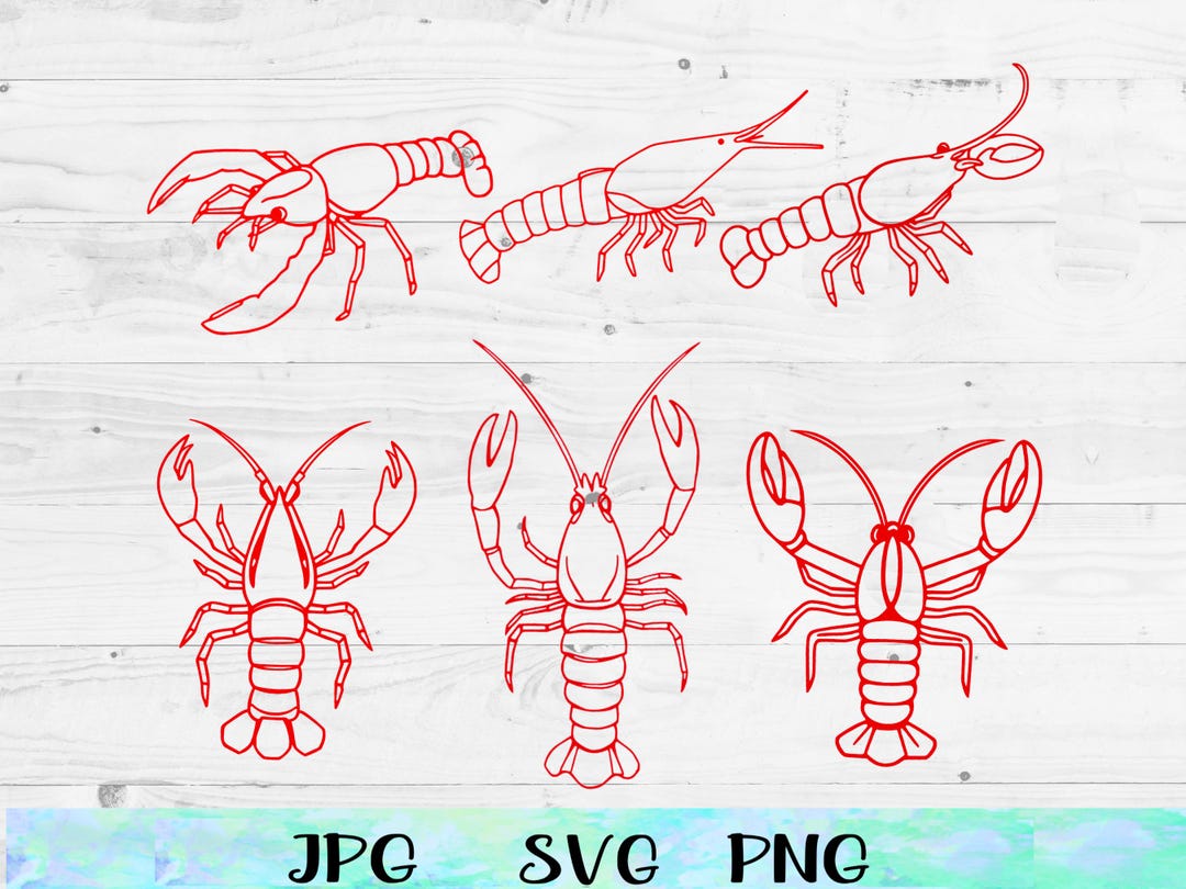 Crawfish Svg File, Crawfish Png File, Crawfish JPG File, Crawfish Shirt ...