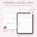 Printable Nursing Clinical Sheet, Nurse Clinical Overview, Nurse Report ...