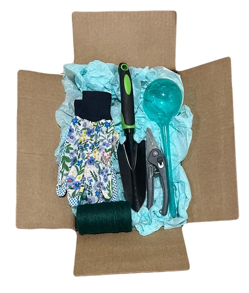 Plant Care Kit - Etsy