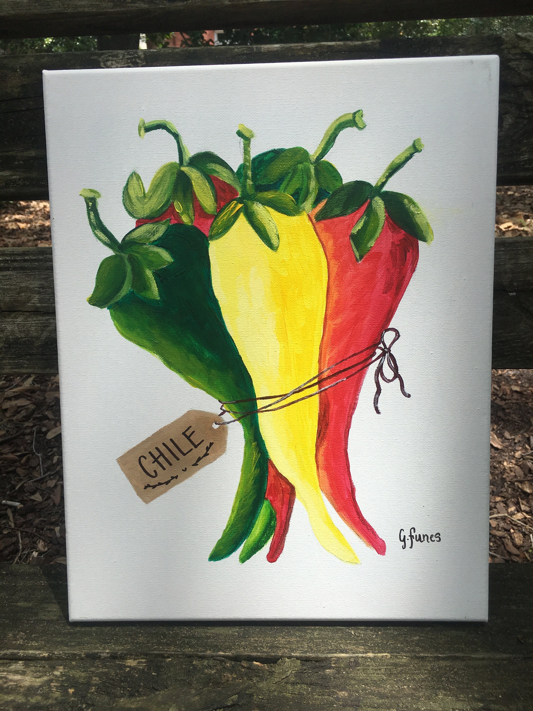 Spicy Peppers, Colorful Acrylic Painting on Canvas, 14x11, Chiles, 3 ...