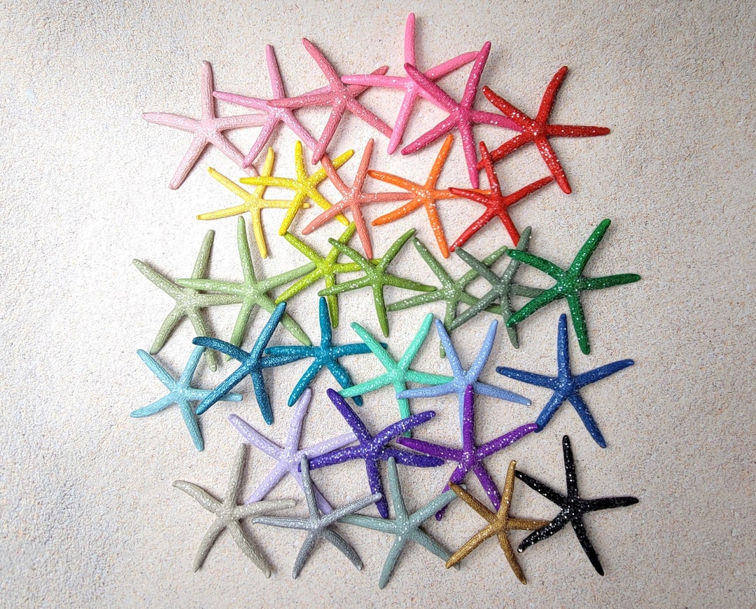 Handmade Glittered Single Starfish: Coastal Decor, Pick Your Color - Etsy