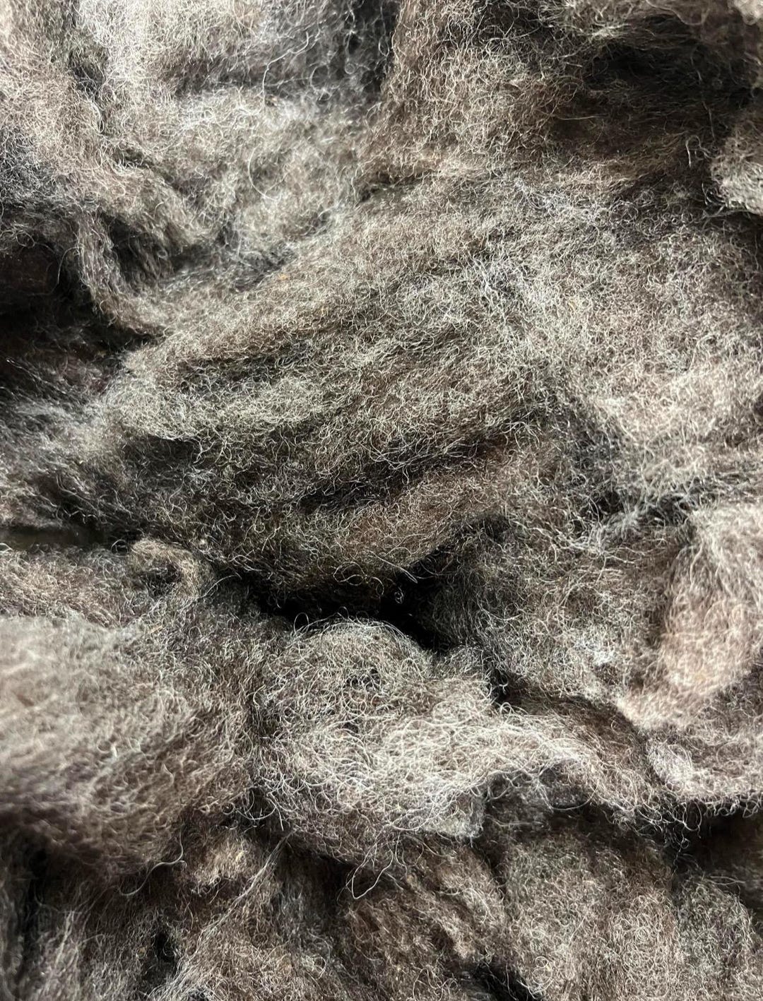 Jacob Sheep Wool Washed and Carded Into a cloud or web That is Ready ...